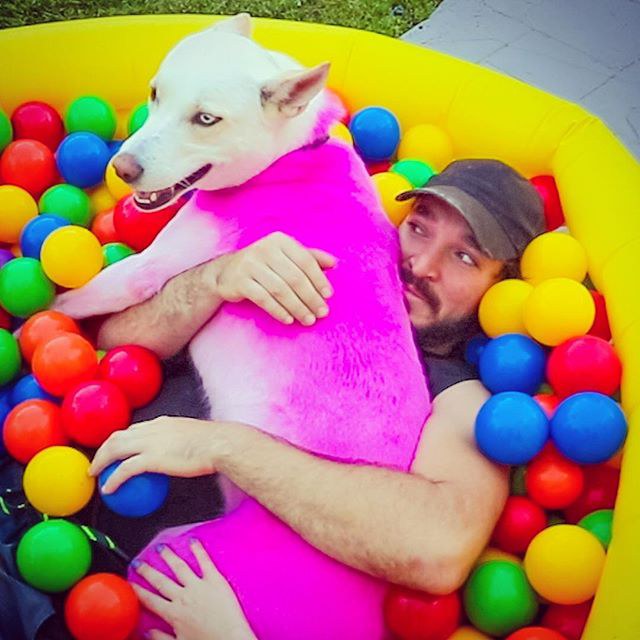 Elton Castee Of "TFIL" Is One Of My Favorite People On Earth