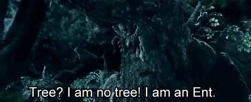 12 of My Favorite LOTR Characters (Movie Version)