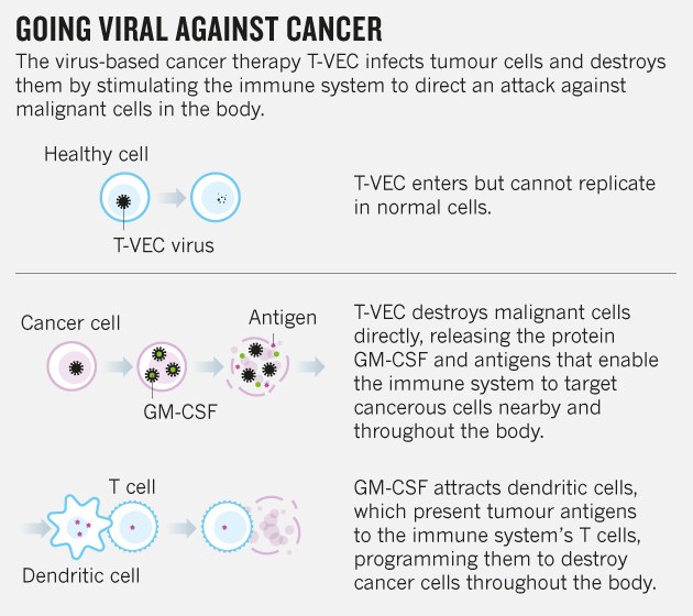 Oncolytic Virotherapy: A Permanent Cure For Cancer?