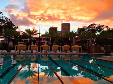 8 Things On The University of Tampa Campus That Better Be Fixed By Fall ...