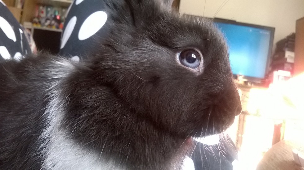 Were You Touched By A Fairy?