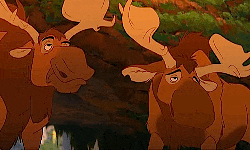 11 Reasons You Should Watch Brother Bear Again