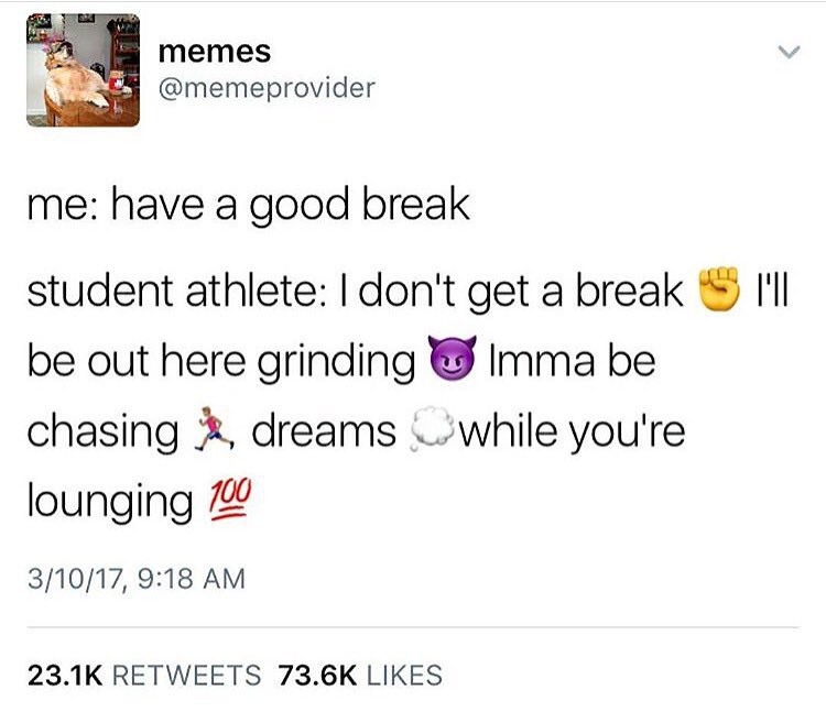 If College Majors Were Popular Memes