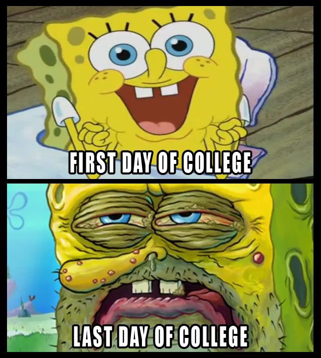 24 Spongebob Memes You'll Understand If You're A College Student