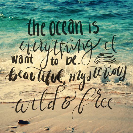 14 Mermaid Quotes You Need Right Now