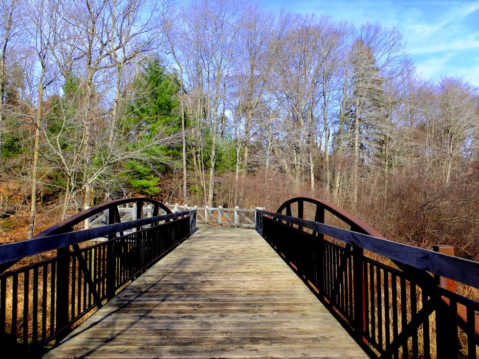 The Five Best Places To Go Hiking Near Holland, Michigan