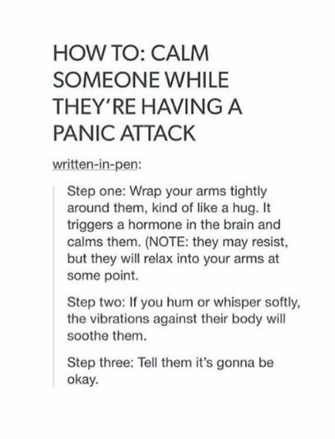"How To: Calm Someone While They're Having A Panic Attack": A Response