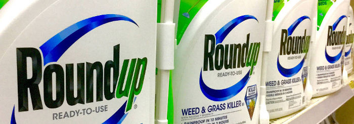 Of mice, Monsanto and a mysterious tumor. - EHN