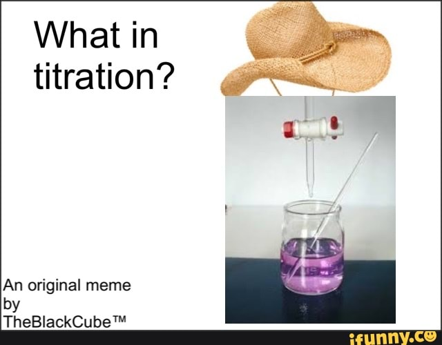 8 Of The Best "What In Tarnation" Memes