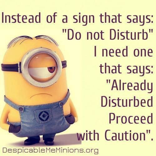 12 Minion Memes To Make You Giggle