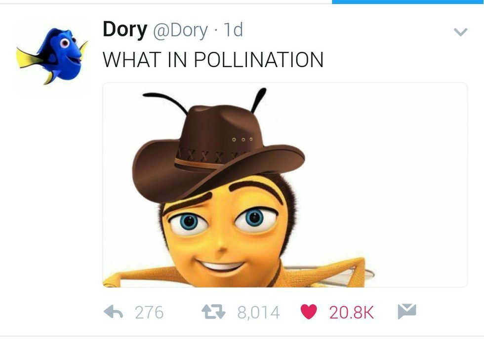 18 Of The Best "What In Tarnation" Memes