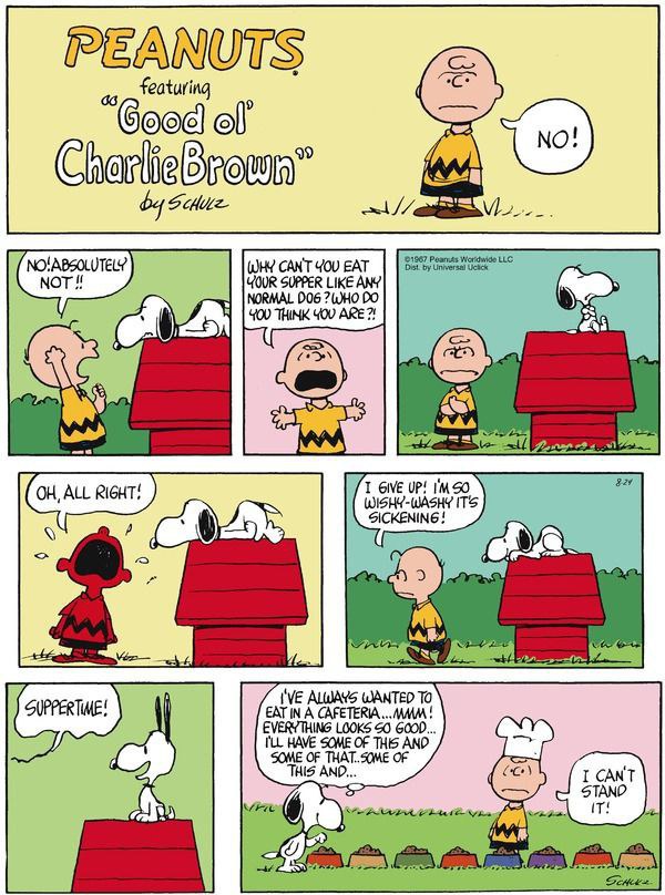 12 Times Peanuts Comics Got Too Real
