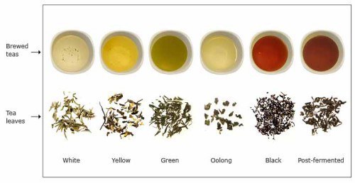 A Complete Beginner's Guide To Tea