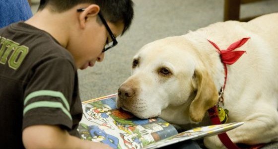 5 Reasons Therapy Dogs Are Helpful