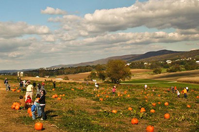 8 Things to do Around Frederick Maryland during the Fall Season.