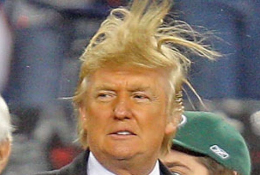 Donald Trump: Hair or Toupee