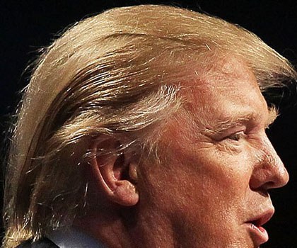 Donald Trump: Hair or Toupee