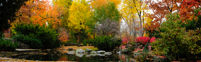 What Makes A Good Autumn In Walla Walla?