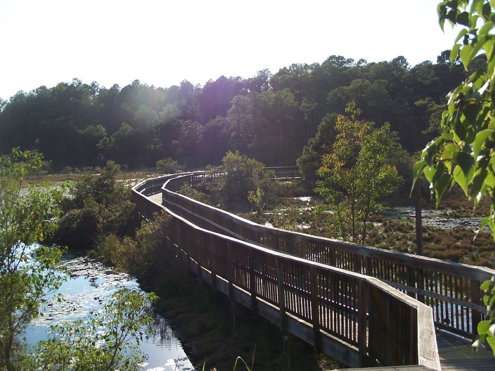 5 Must See Spots In Monroe, LA For All Nature Enthusiasts