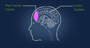 The Article On Procrastination You Want to Read