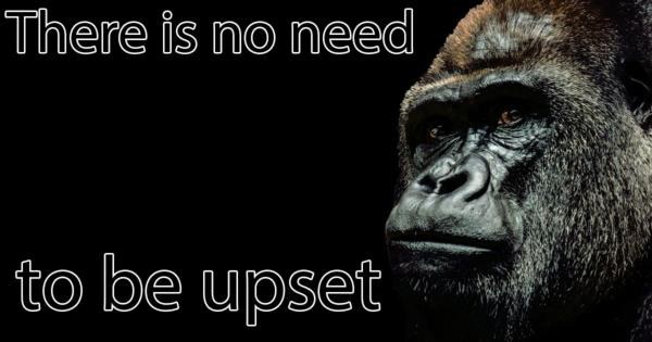 Why Harambe is a Christ Figure