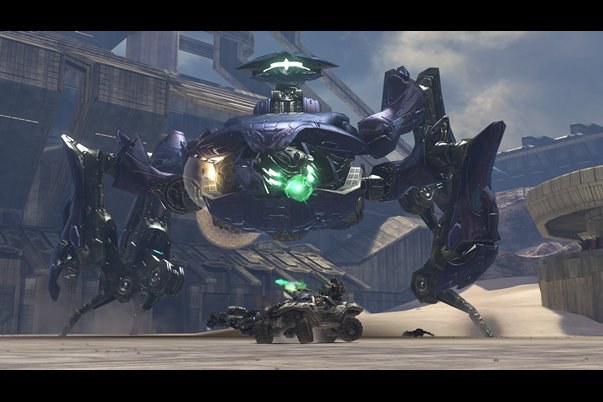 'Halo' Species That Must Return