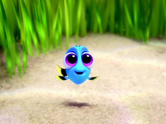 7 Reasons To Go See 'Finding Dory'