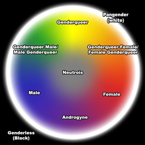 Explaining Gender