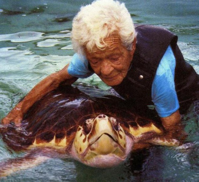 The Turtle Lady