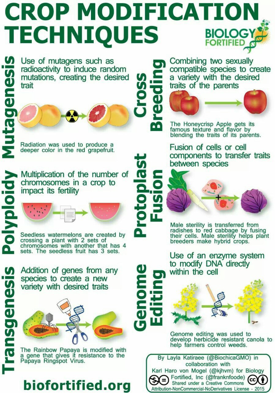 Here's How Your Food Has Been Genetically Modified