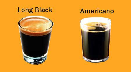 Coffee Basics For The Basics