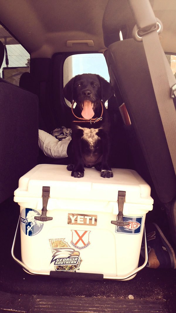 Let's Talk About Old Row