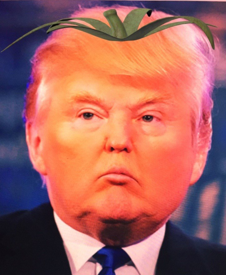 Snapchat Filters Featuring Donald Trump