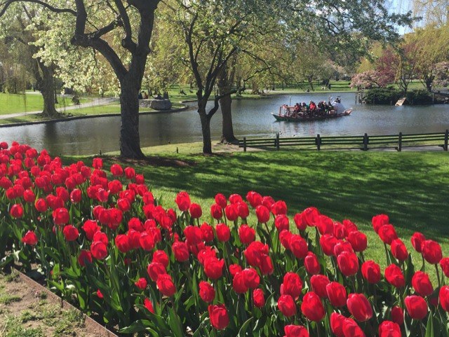 11 Signs It's Spring In Boston Common & Public Garden