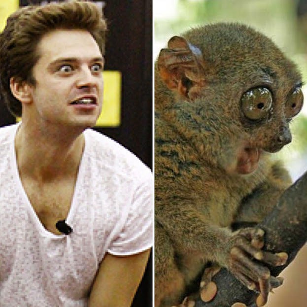 16 Times Sebastian Stan Proved That He's Actually An Animal