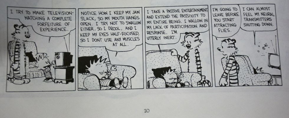 Calvin and Hobbes: 10 Important Life Lessons