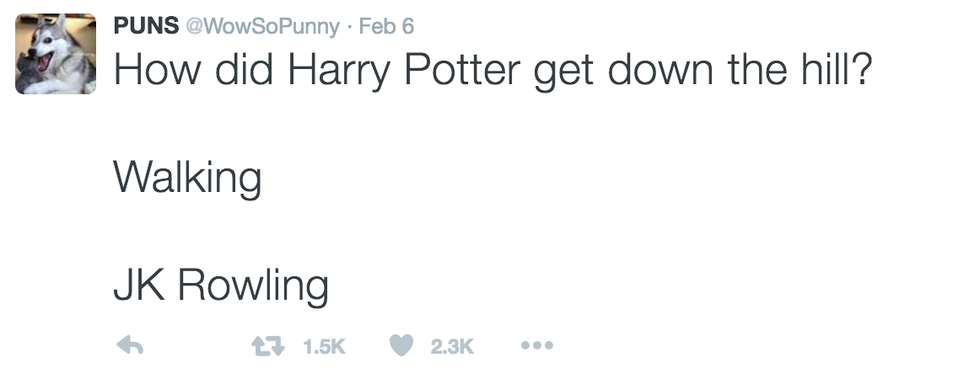 12 Horribly Amazing Puns to Get You Through Finals Week