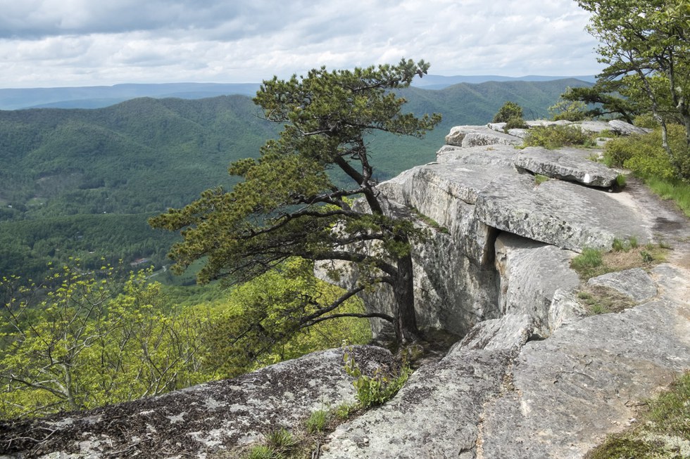 The 10 Best Hikes In Southwest Virginia