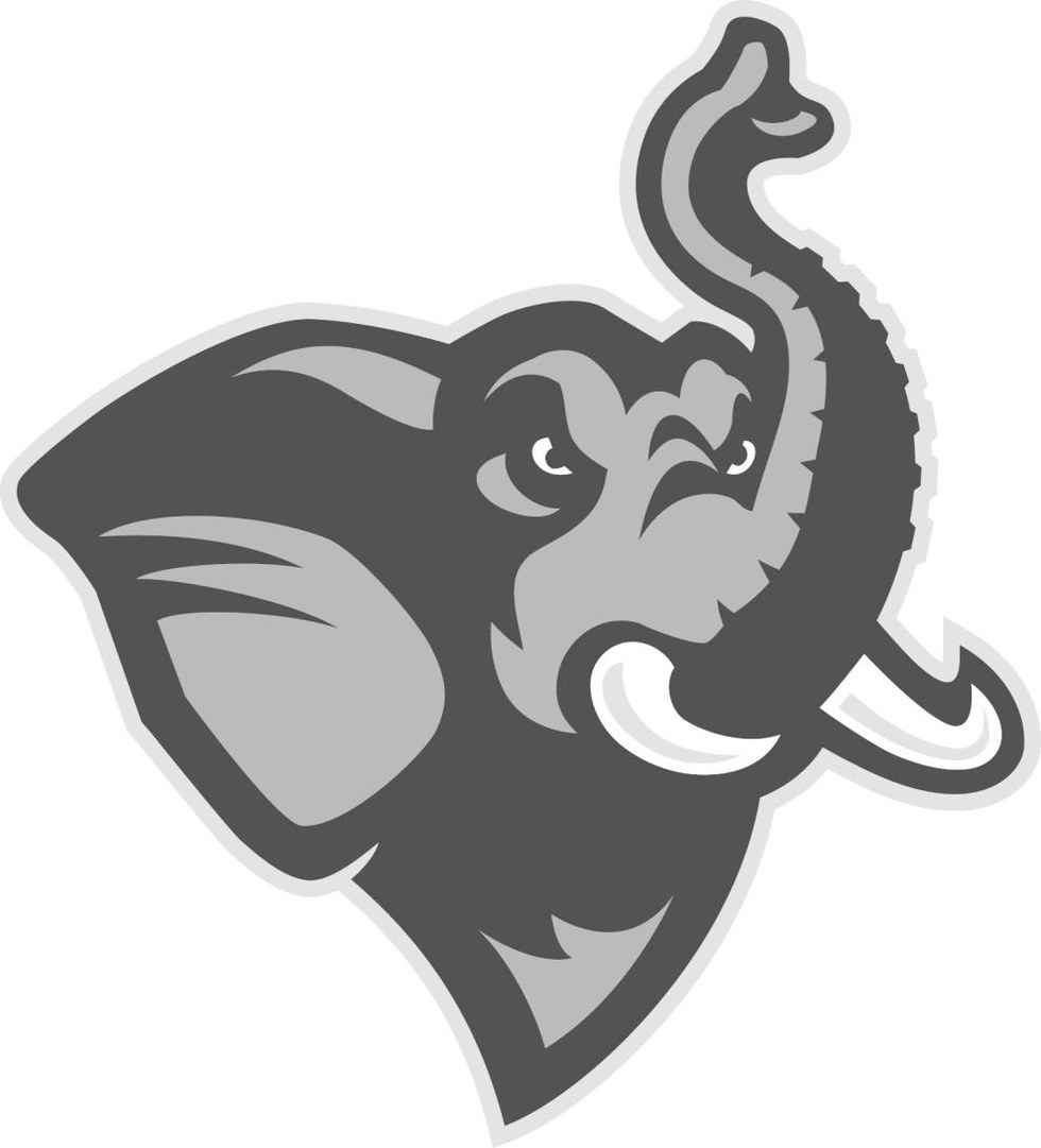 The NESCAC Mascots, Ranked