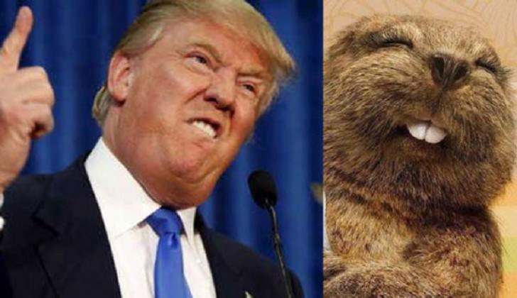 10 Trump Look-Alikes To Get You Through The Week