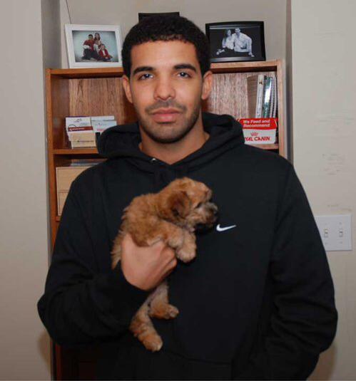 15 Reasons We're Blessed Drake Was Born