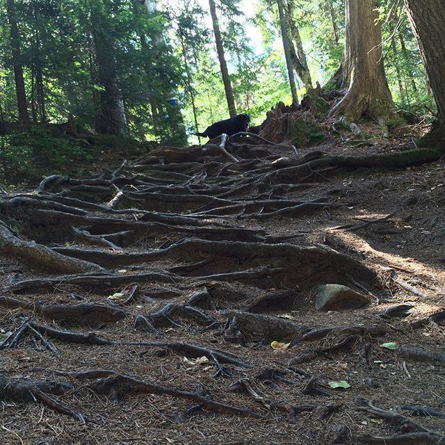 13 Ways Everyone Can Find God In Nature