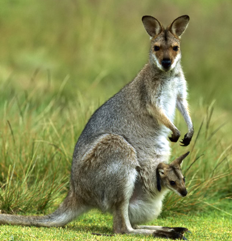 20 Weird Facts You'll Probably Want to Know