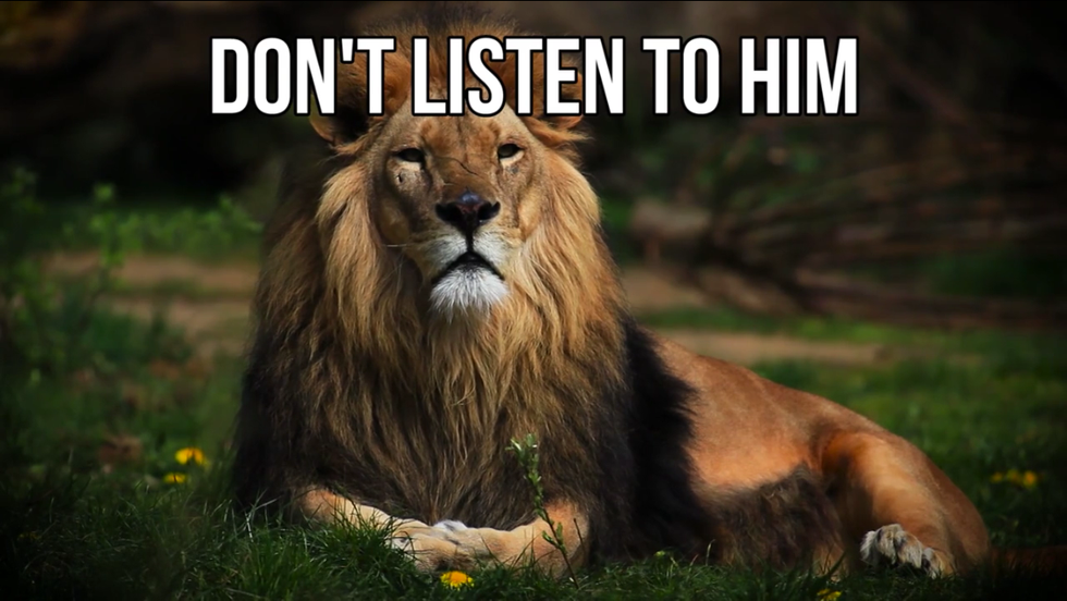 15 Un-BEAR-able Animal Puns That Will Get You Through Finals Week