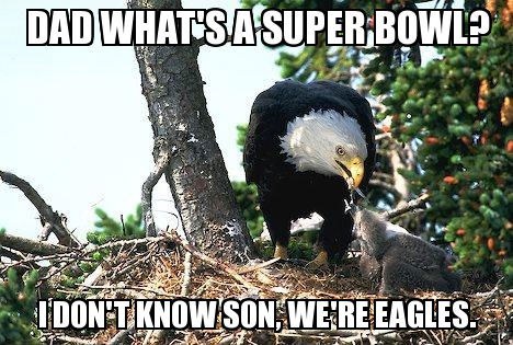 Funny Eagle Fan Memes