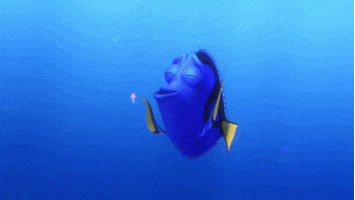 Watching The 'Finding Dory' Trailer, As Told By 'Finding Nemo'