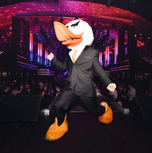 12 Reasons Why Sebastian The Ibis Is The Best Mascot In All Of College ...