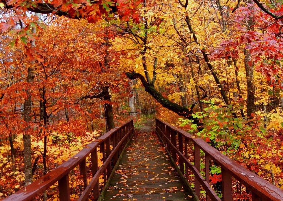 The Official Johns Hopkins Fall Bucket List