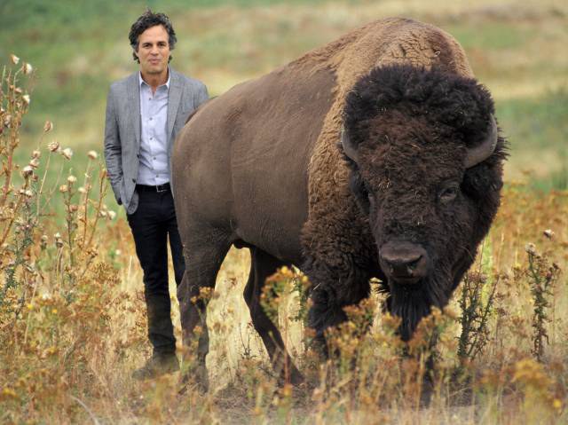 4 Funny Photos Of Mark Ruffalo To Get You Through This Snowy Week