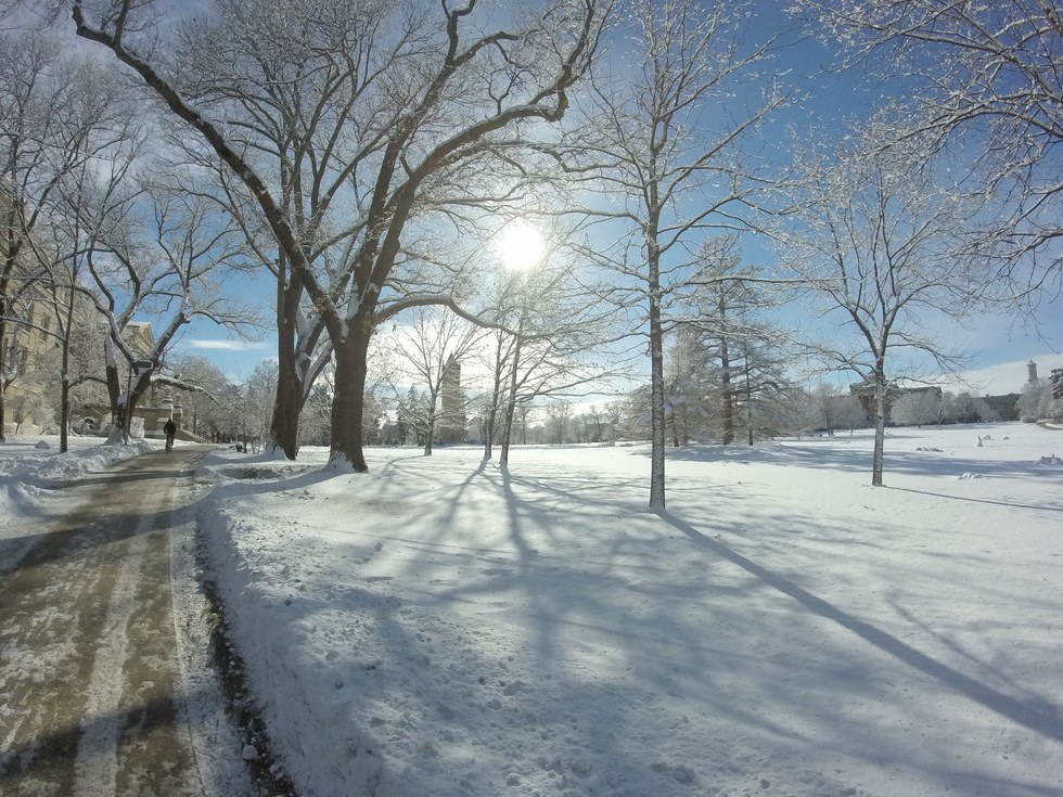 Iowa State University: A Stunning Winter Campus